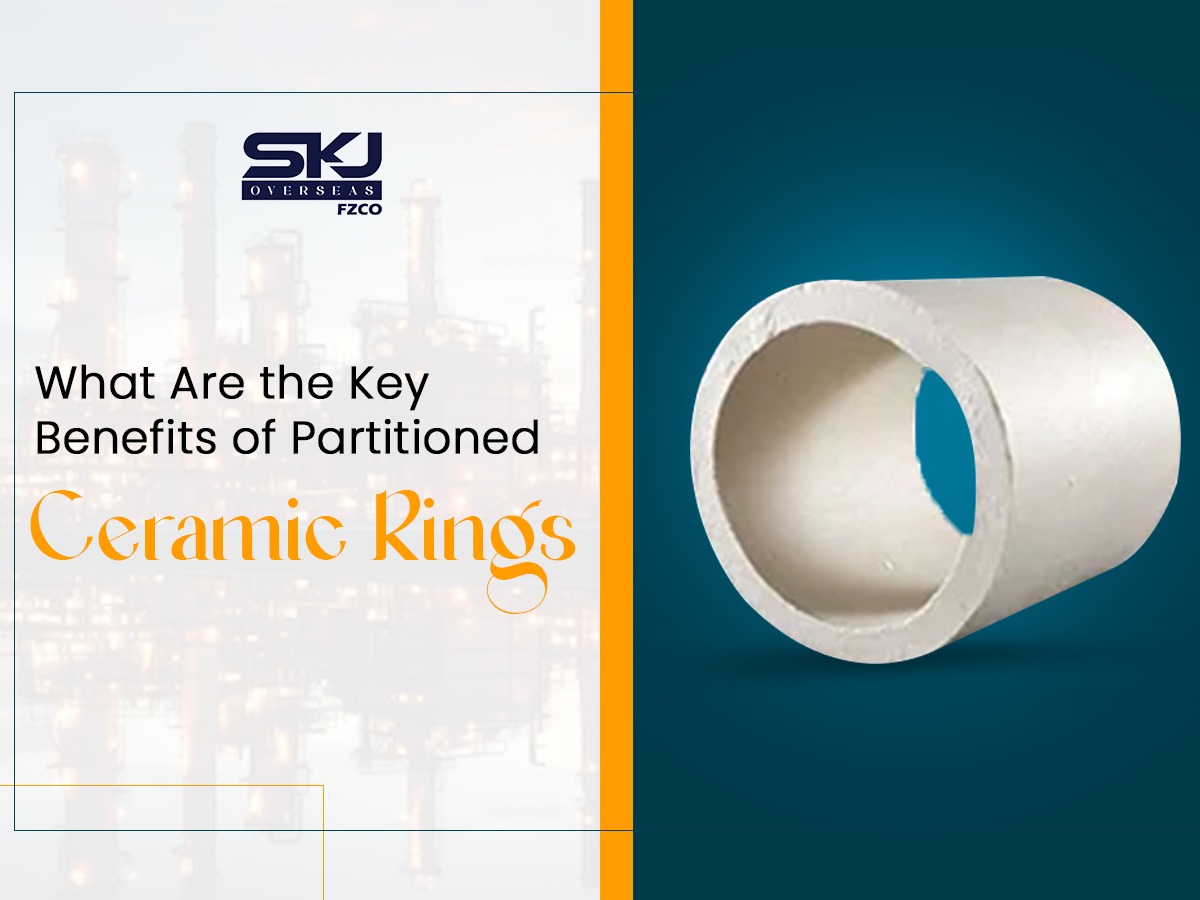 Key Benefits of Partitioned Ceramic Rings | SKJ Overseas